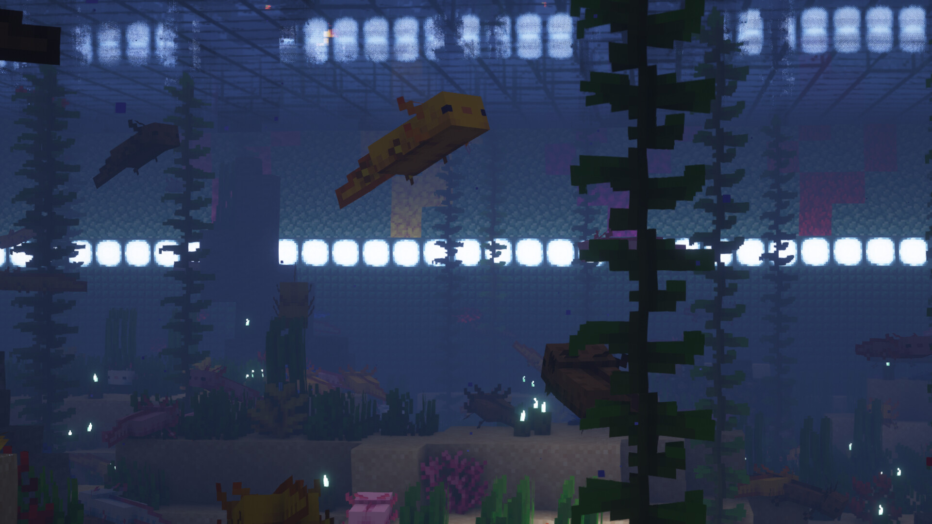 axolotl wonderland (´｡• ᵕ •｡`) ♡ season 3~ Minecraft Map