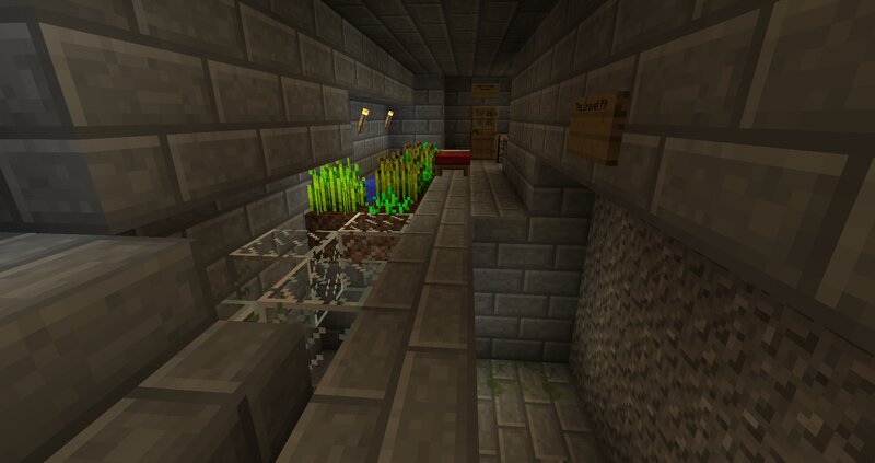 Mario Pipe Hideout Minecraft Map