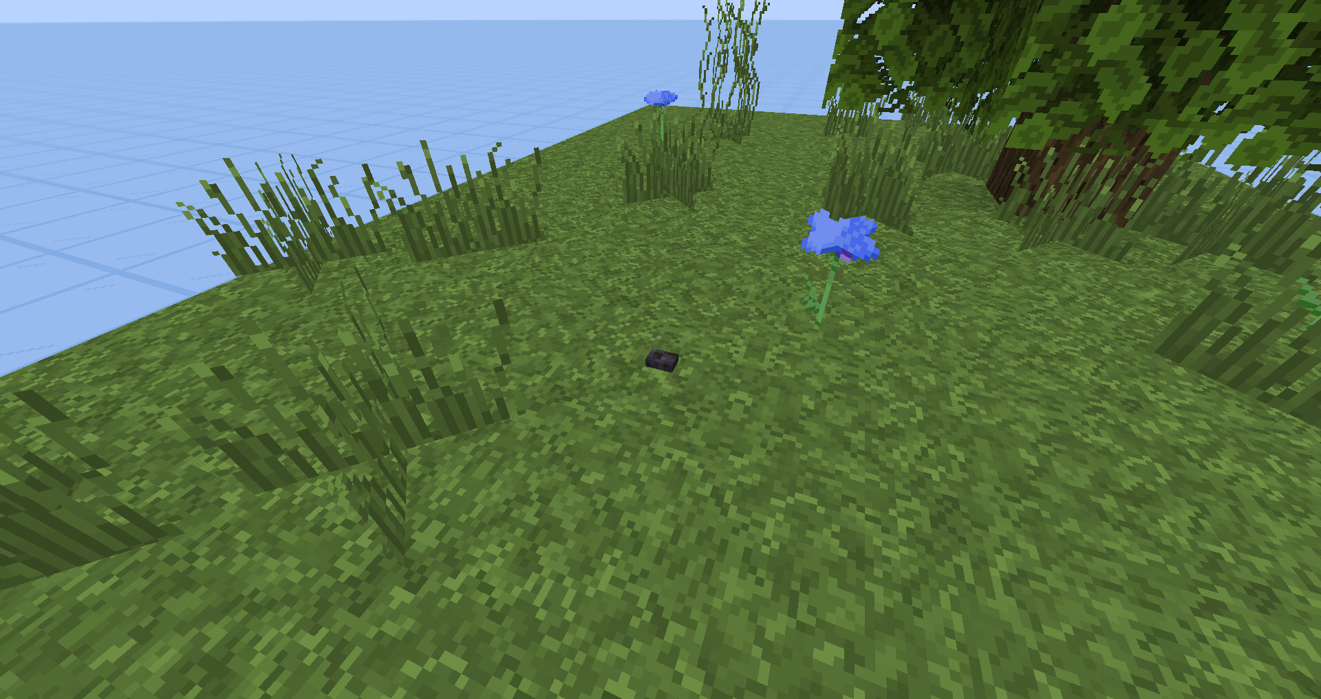 Command concept - 21w05b Minecraft Map