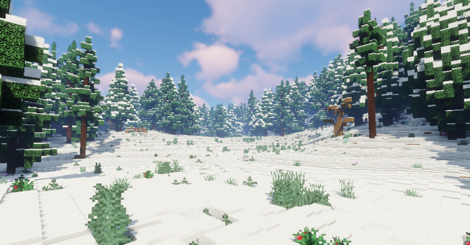 BIGFOOT Survival map[DOWNLOAD]1.16+ very detailed snowymountain map ...