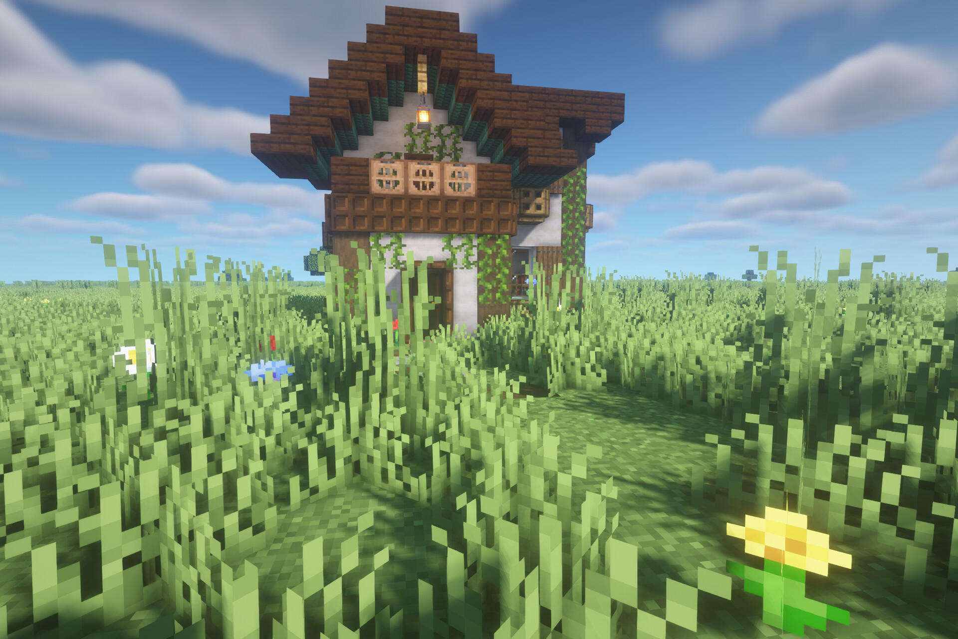 Cottage House Minecraft Map