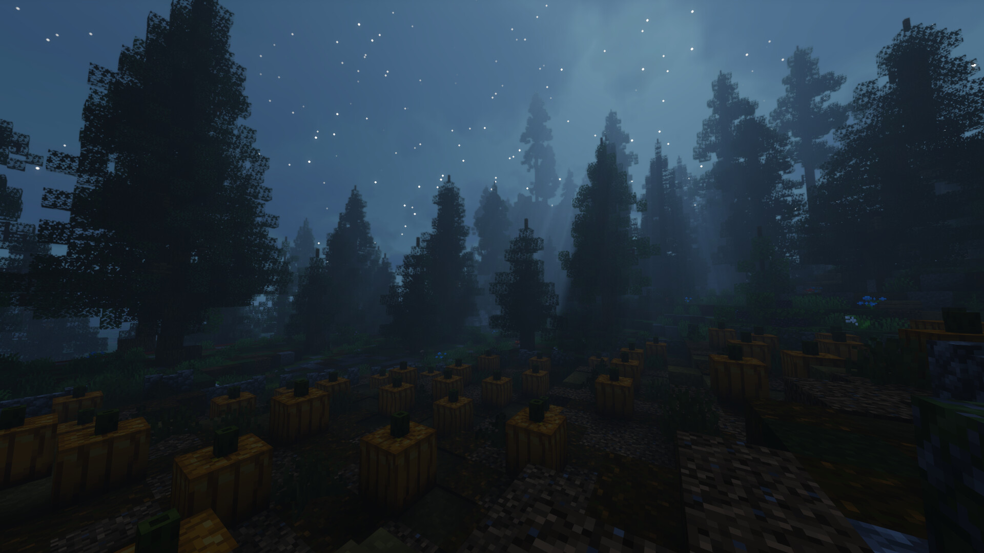 small town near the forest Minecraft Map