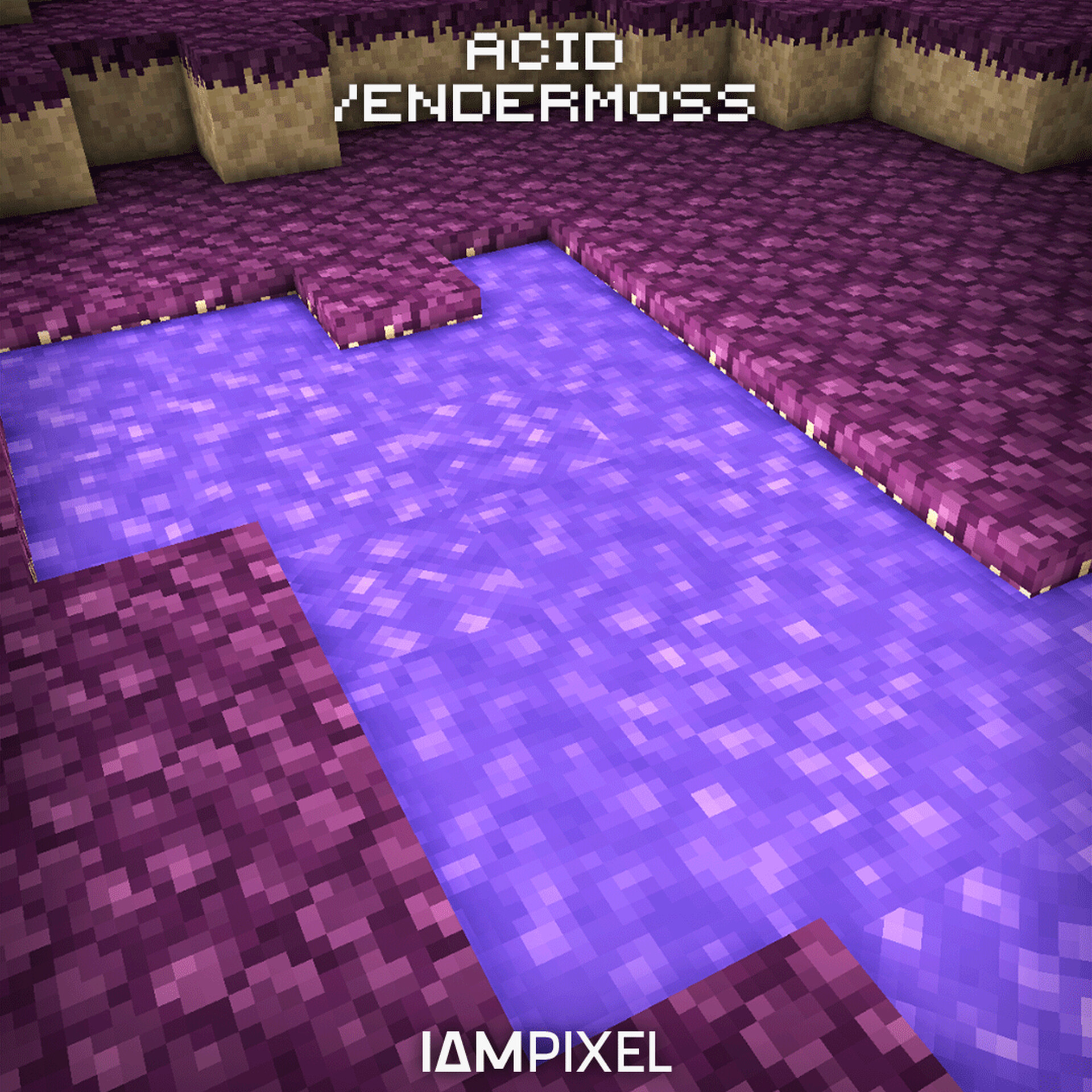 Minecraft End Update! 🐲 Minecraft Map