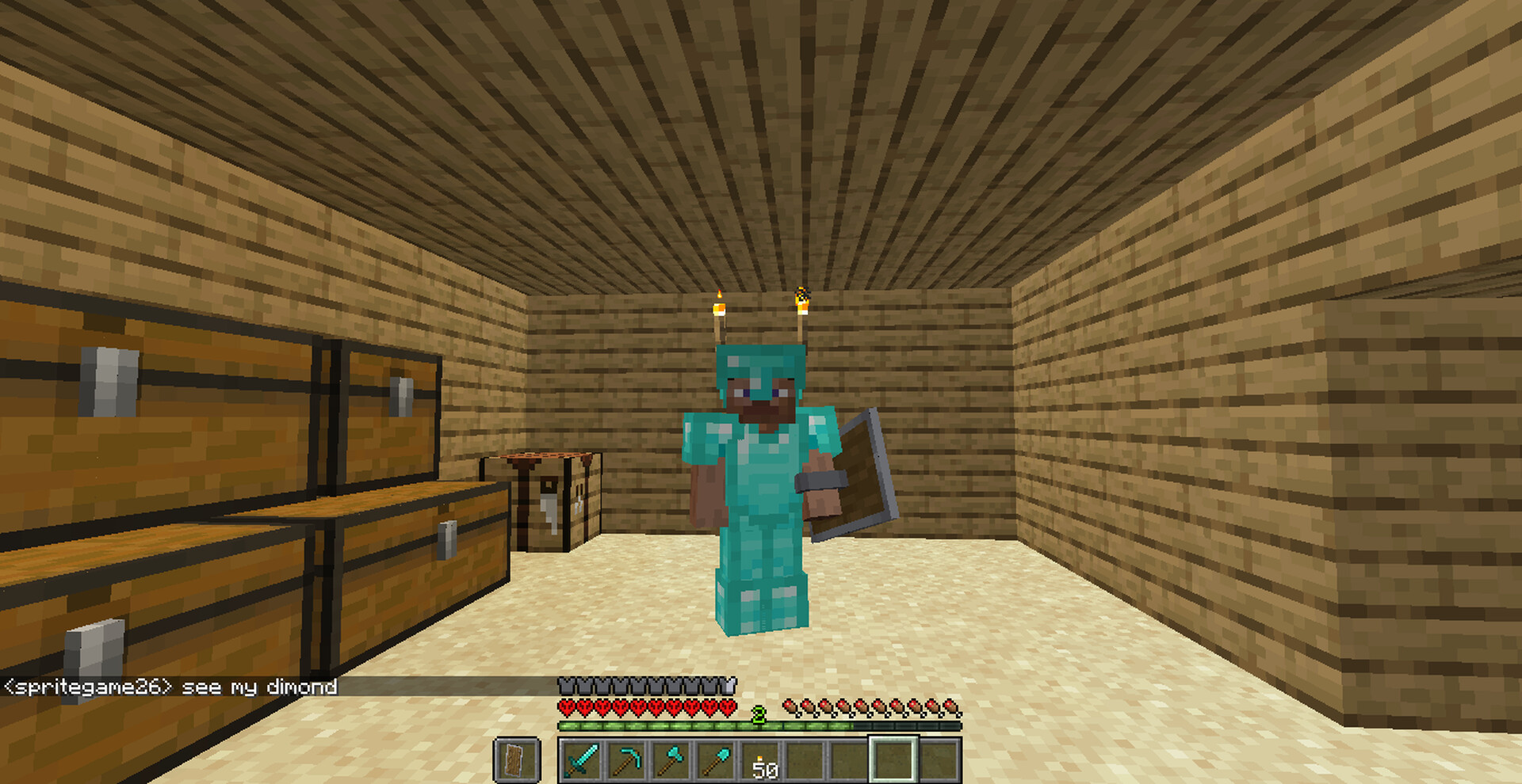 SPRITE GAMERS HARDCORE WORLD 100 DAYS Minecraft Map