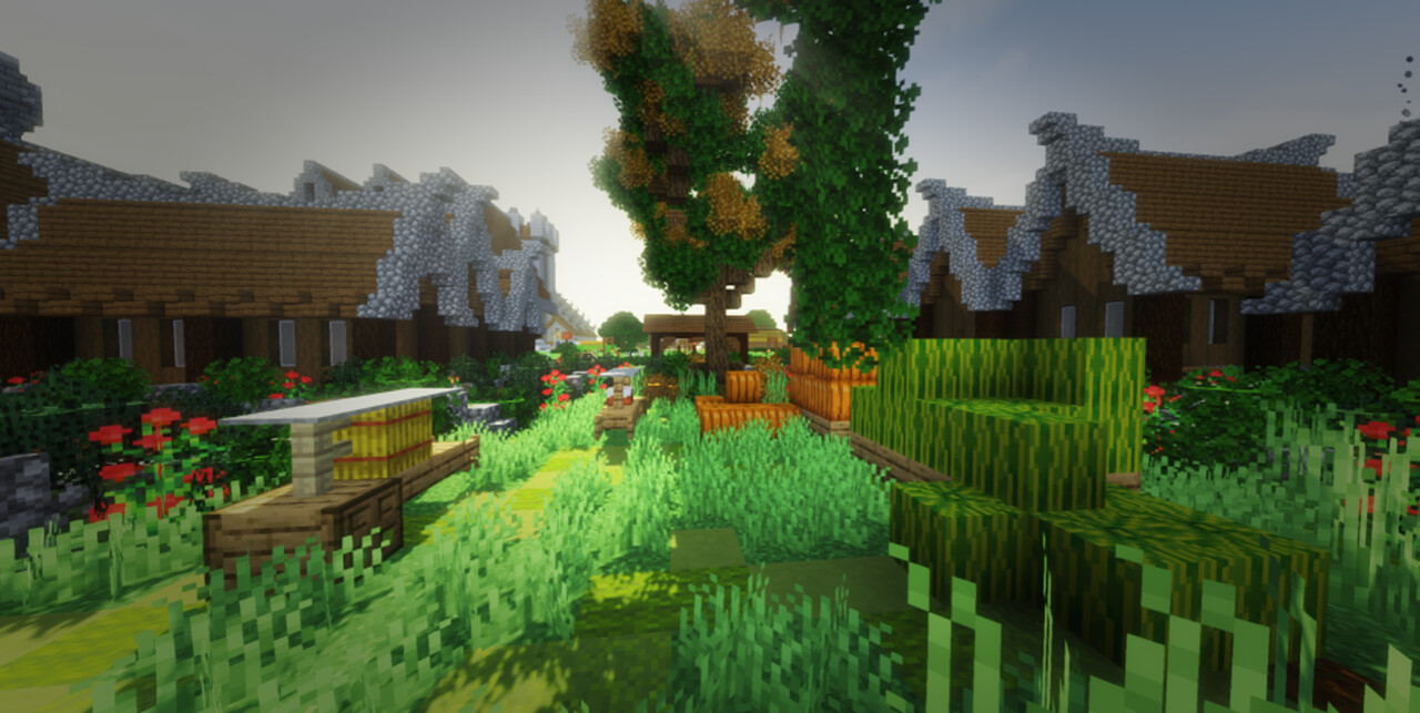 First plot on the server Minecraft Map