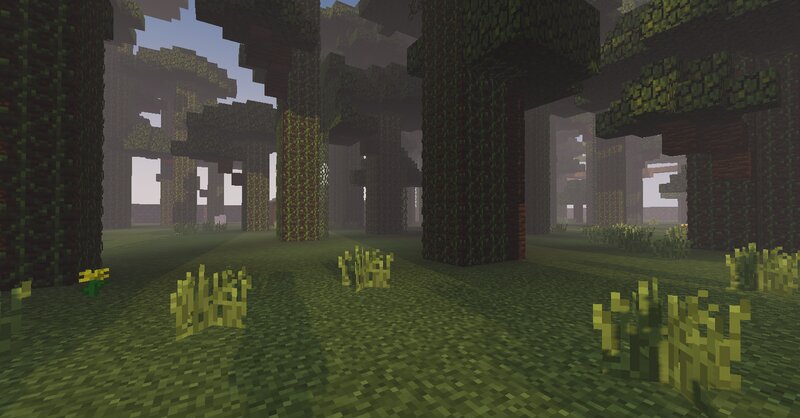 Map Jungle Cache Cache Minecraft Map