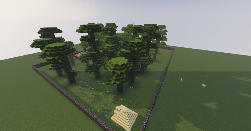 Map Jungle Cache Cache Minecraft Map