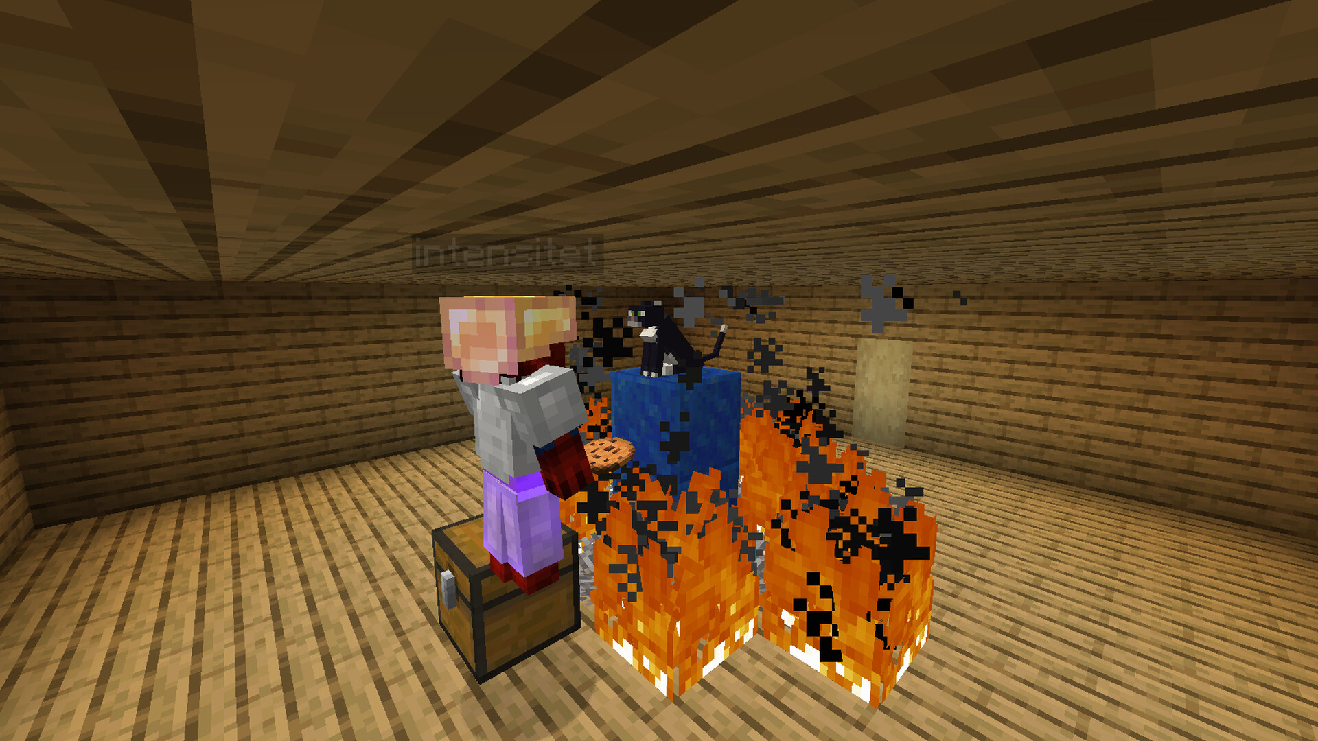 The Mining of Steve Minecraft Map