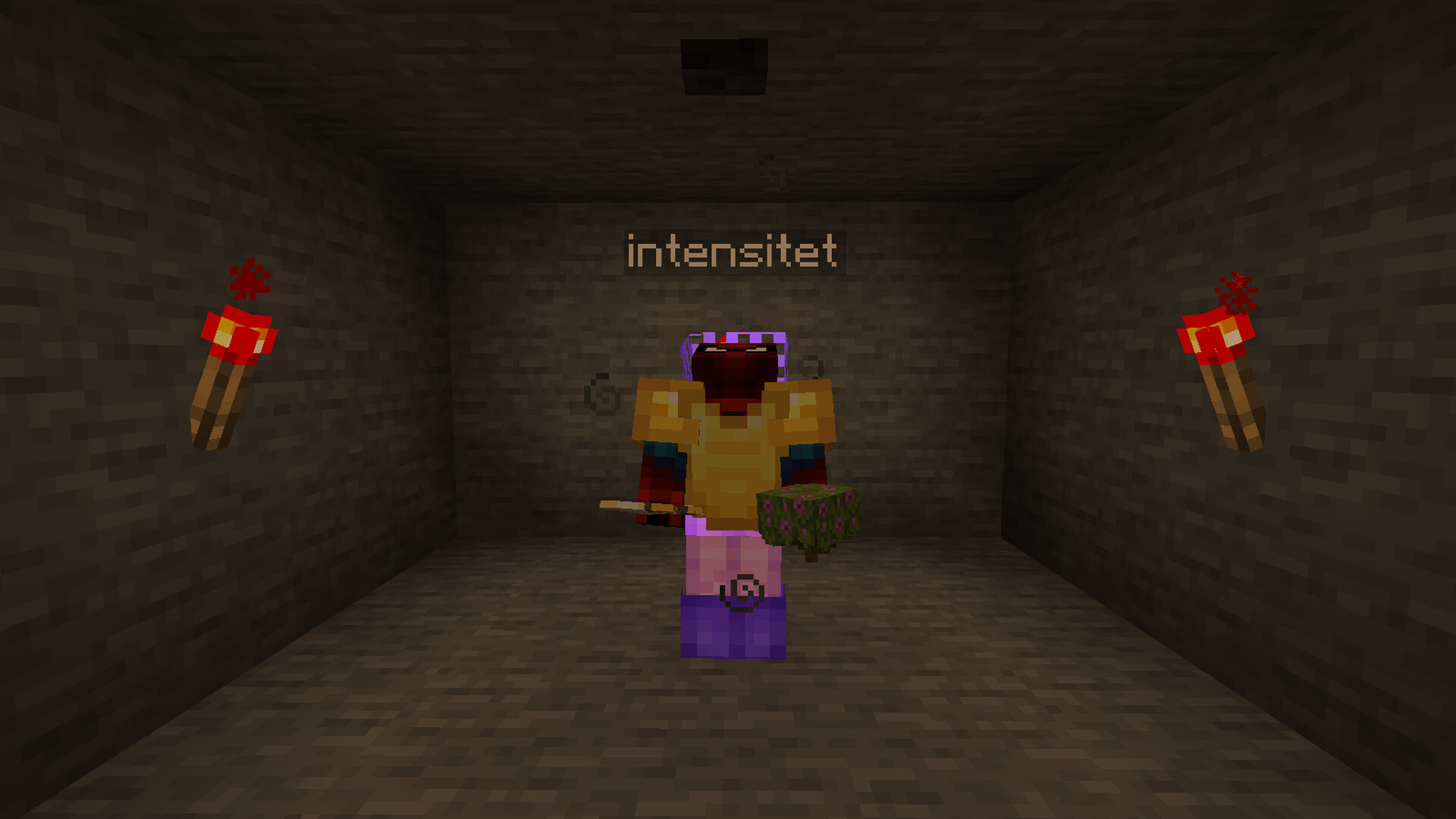 The Mining of Steve Minecraft Map