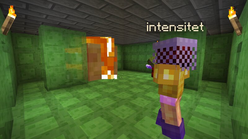 The Mining of Steve Minecraft Map