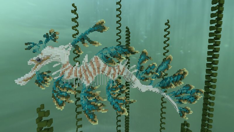 Leafy Sea Dragon Minecraft Map