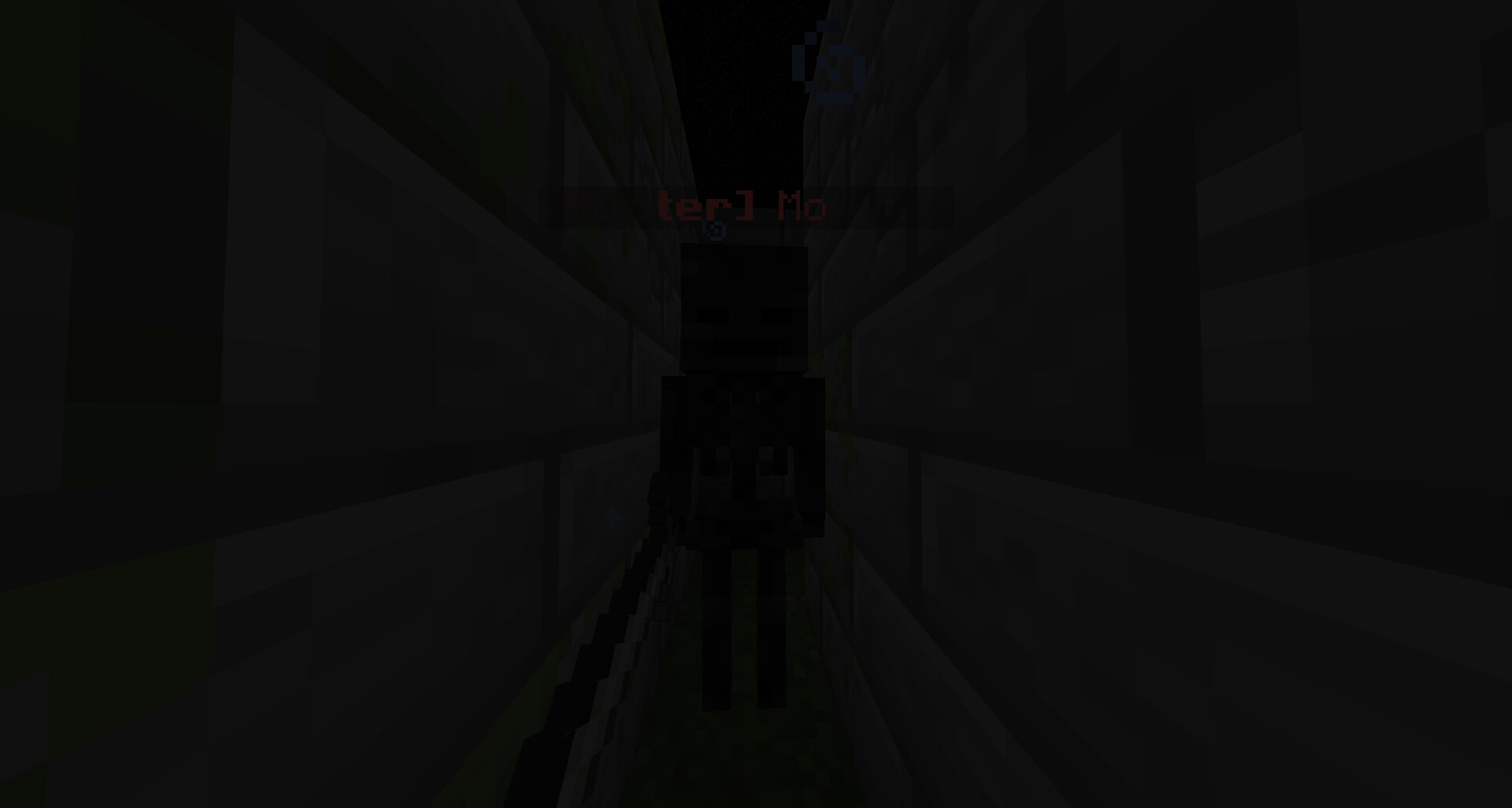 Maze Hunt (Huge Maze map with Hunter/Hider fun) Minecraft Map