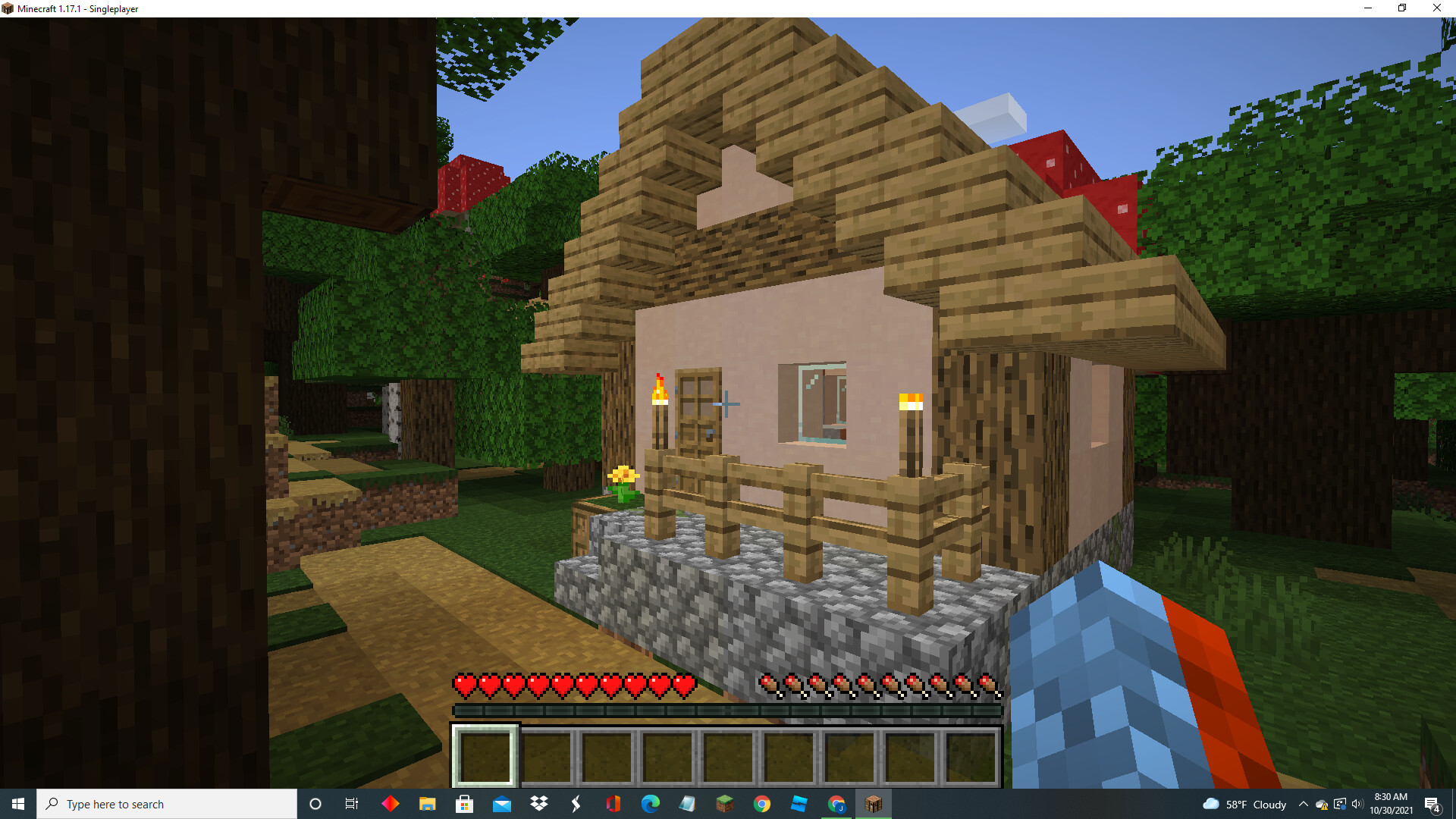 BEST SPAWN EVER IN MINECRAFT 1.17 Minecraft Map