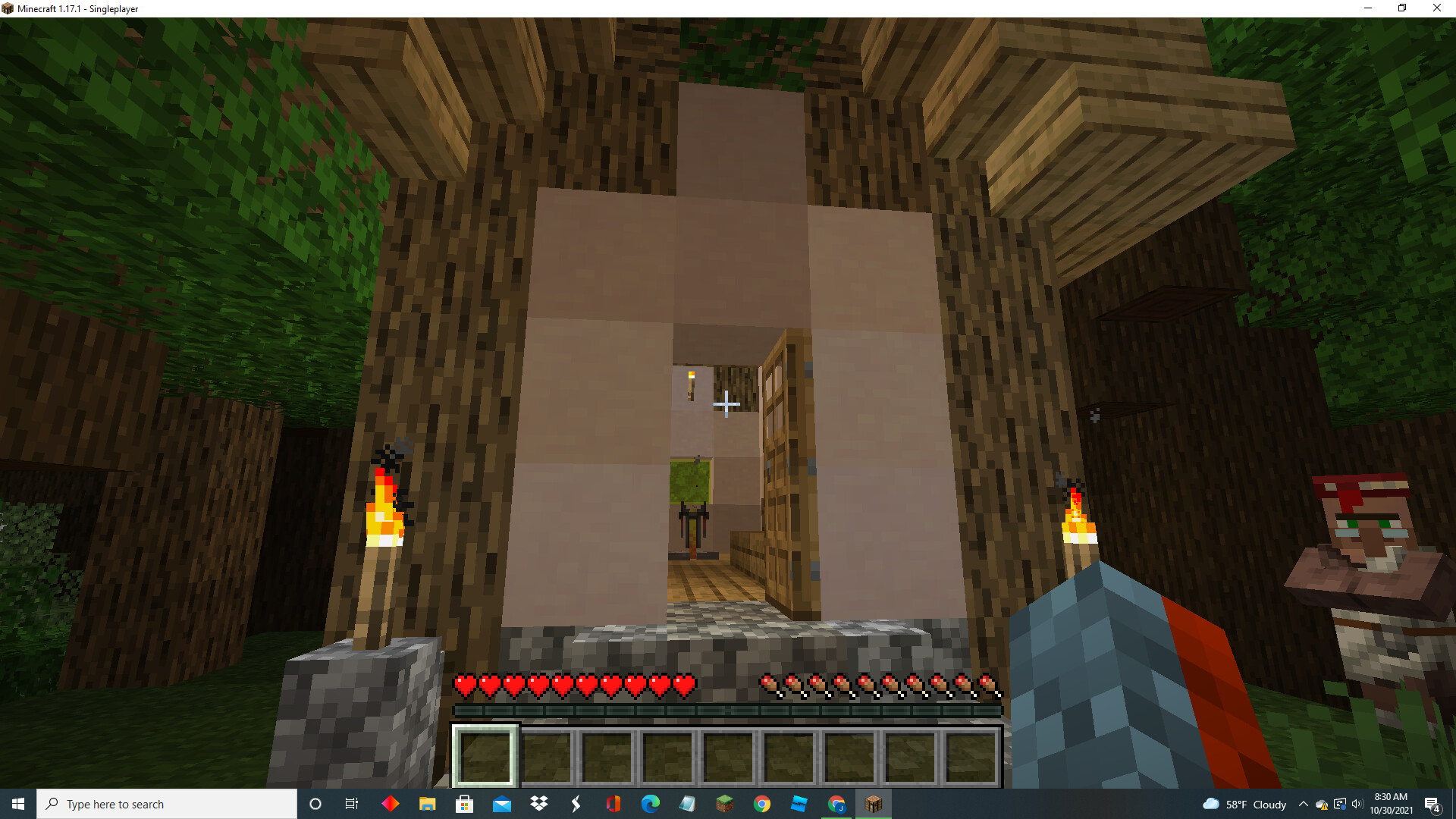 BEST SPAWN EVER IN MINECRAFT 1.17 Minecraft Map