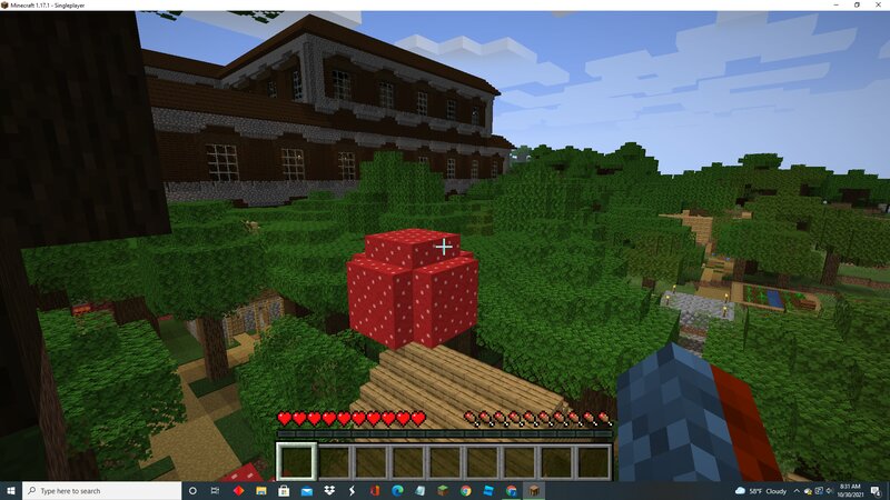 BEST SPAWN EVER IN MINECRAFT 1.17 Minecraft Map