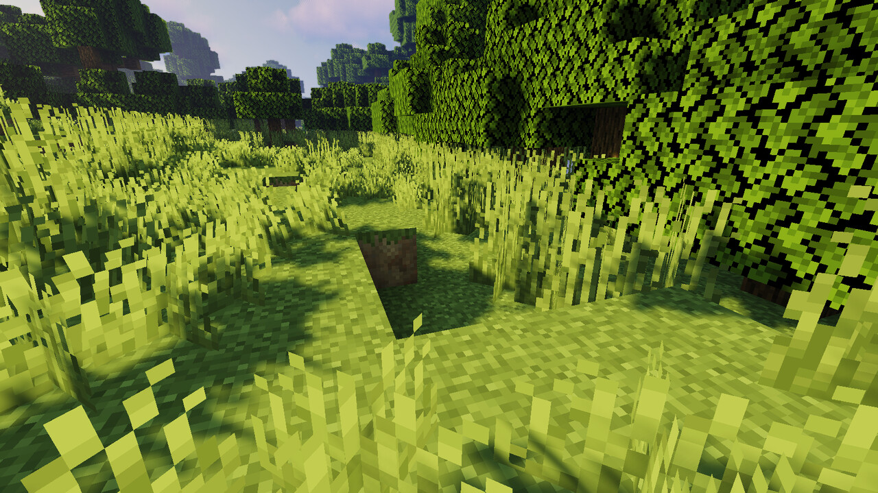 Forest Clearing Minecraft Map