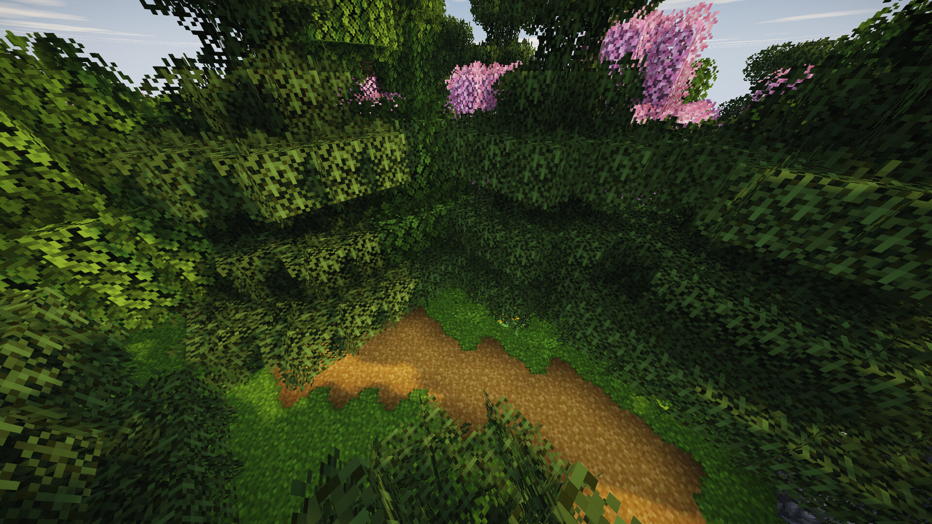 Acorn Village Minecraft Map