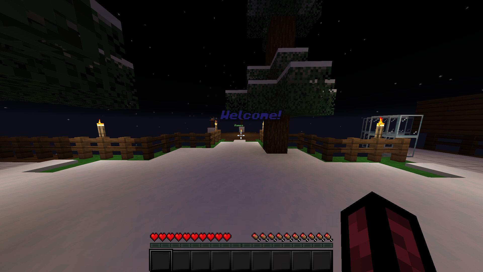 Winter Lobby Minecraft Map