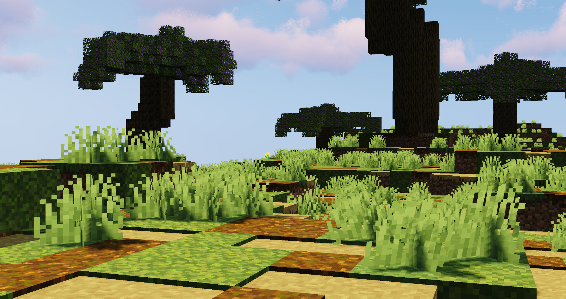 Better small bioms Minecraft Map