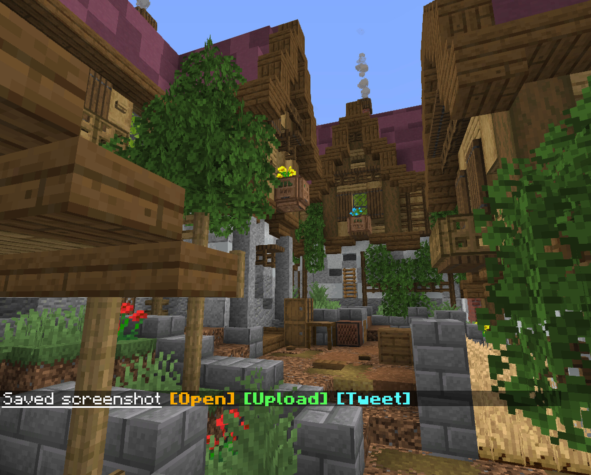 Village Minecraft Map