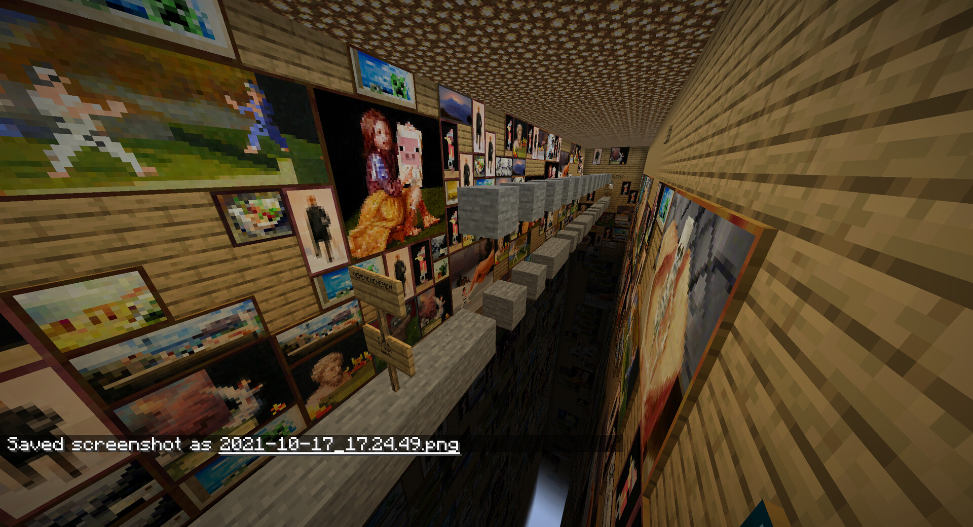 Troll map tjc Minecraft Map