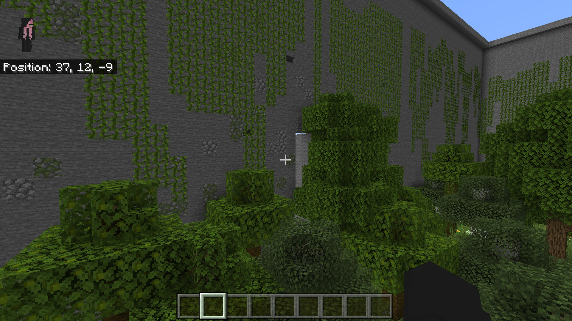 The Maze Runner template Minecraft Map