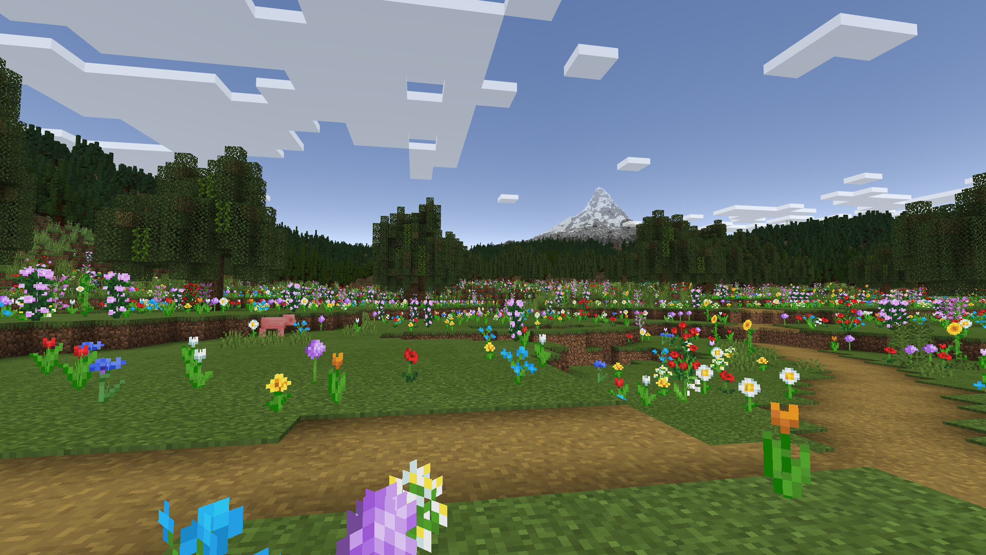 Mt Hood and custom regions (Java + Bedrock) Minecraft Map