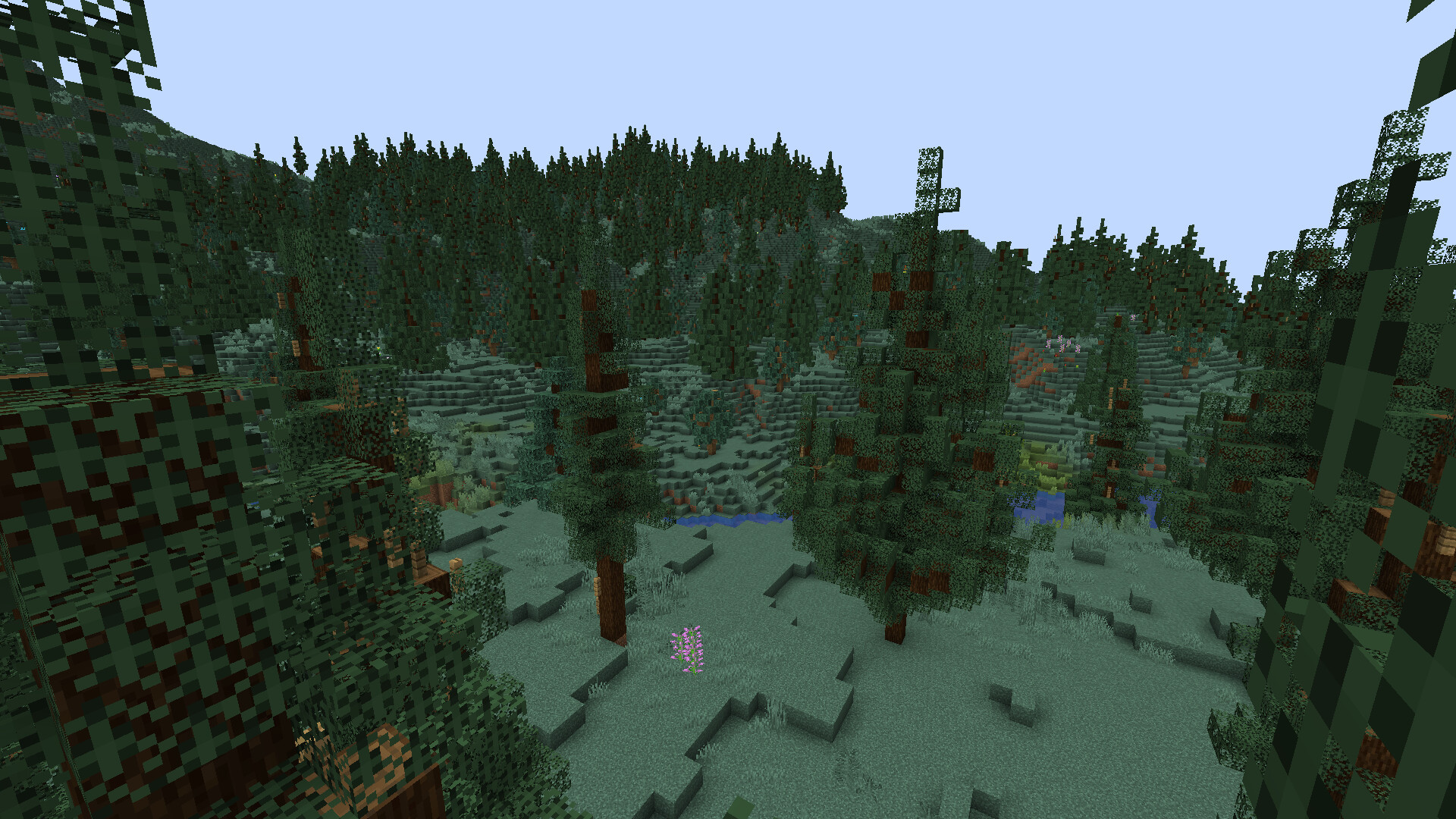 Spruce Forest with a Mountain Minecraft Map