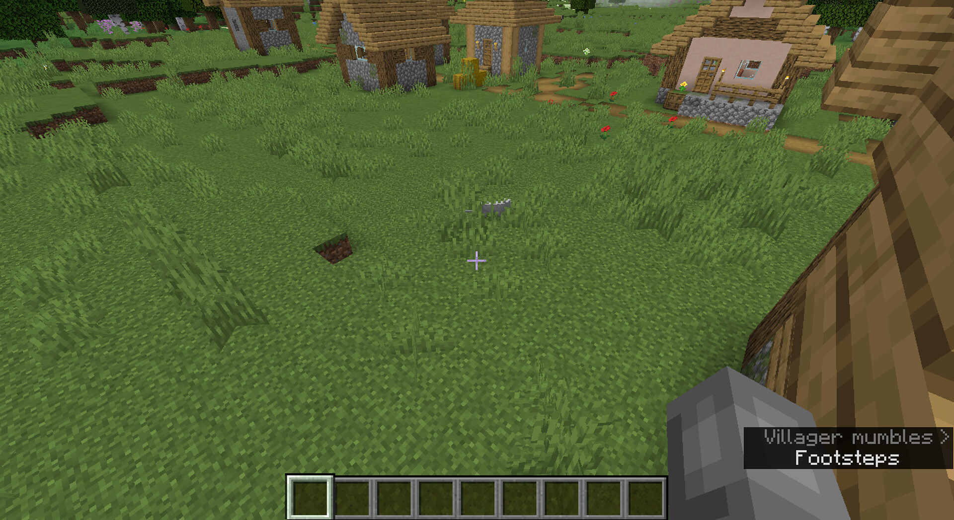 Awesome Village Spawn with Caves Minecraft Map