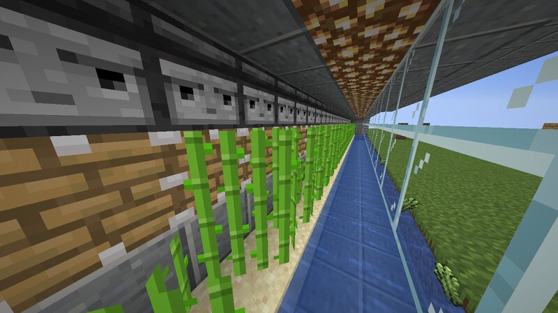 Large Sugar Cane Farm (With Tutorial)... Minecraft Map