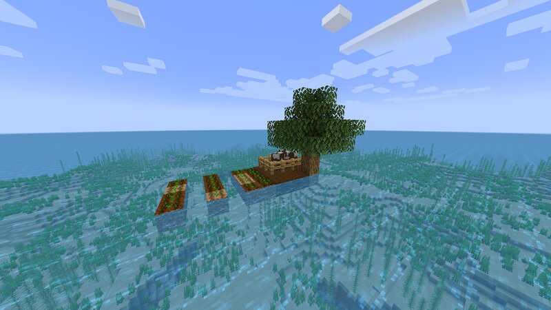 raft survival Minecraft Map