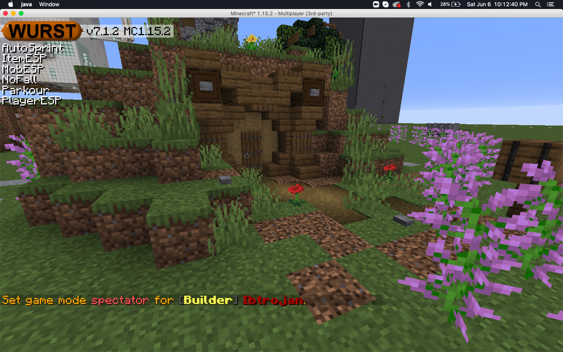 First hired job (genesis of my abilities) Minecraft Map