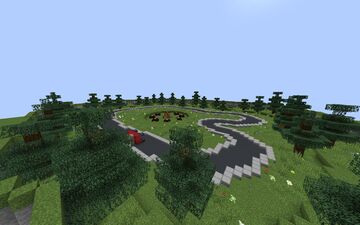 Racetrack Minecraft Maps with Downloadable Schematic