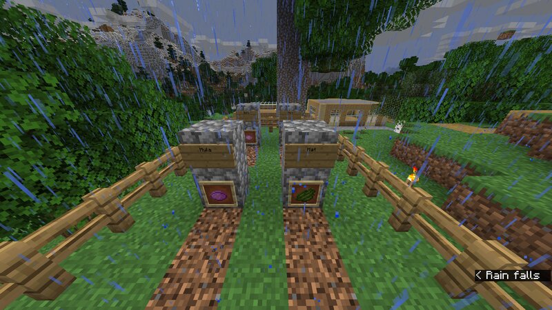 SMP Map Minecraft Map