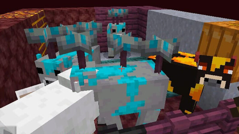 nether oneblock Minecraft Map