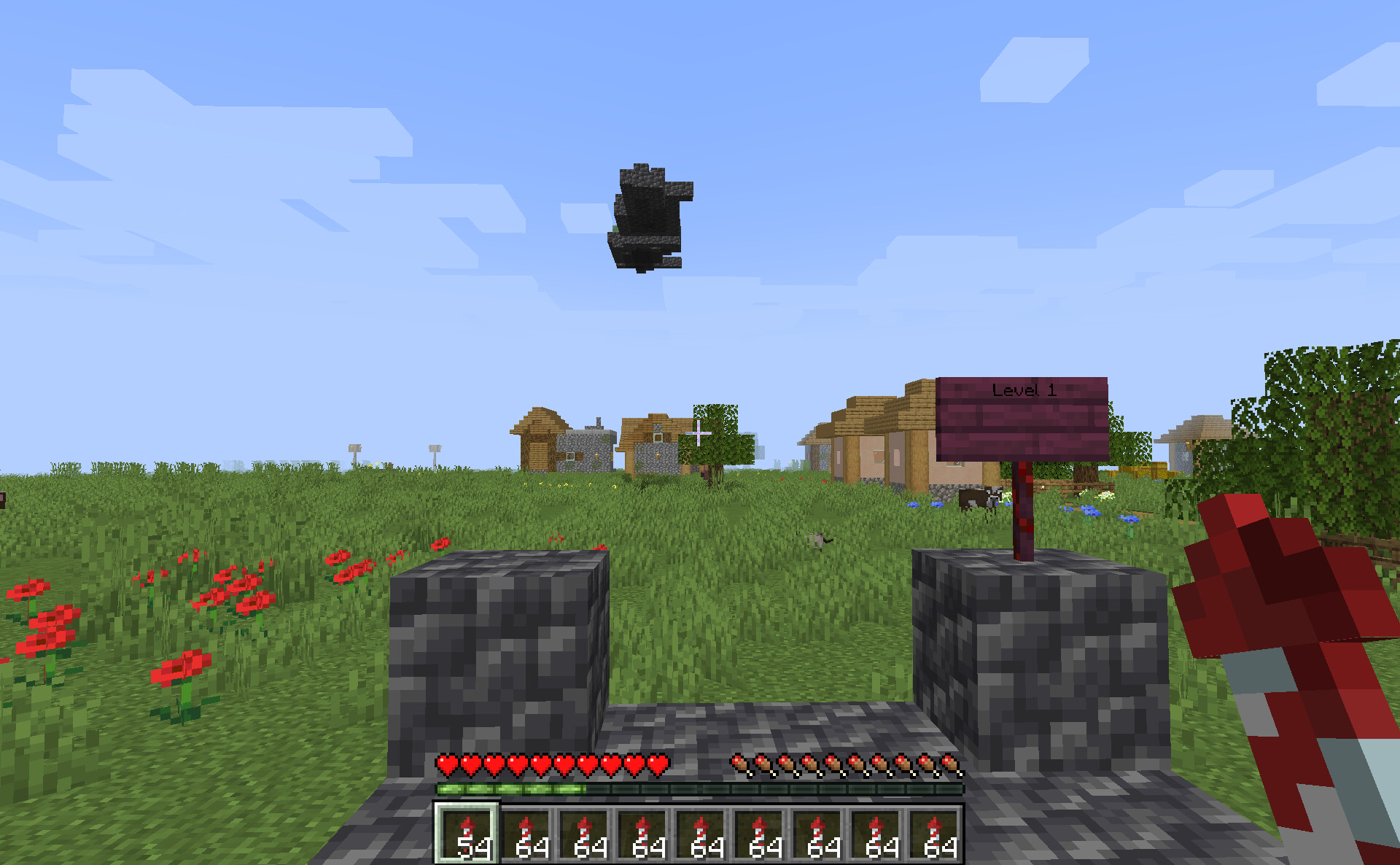 Elytra Practice Minecraft Map