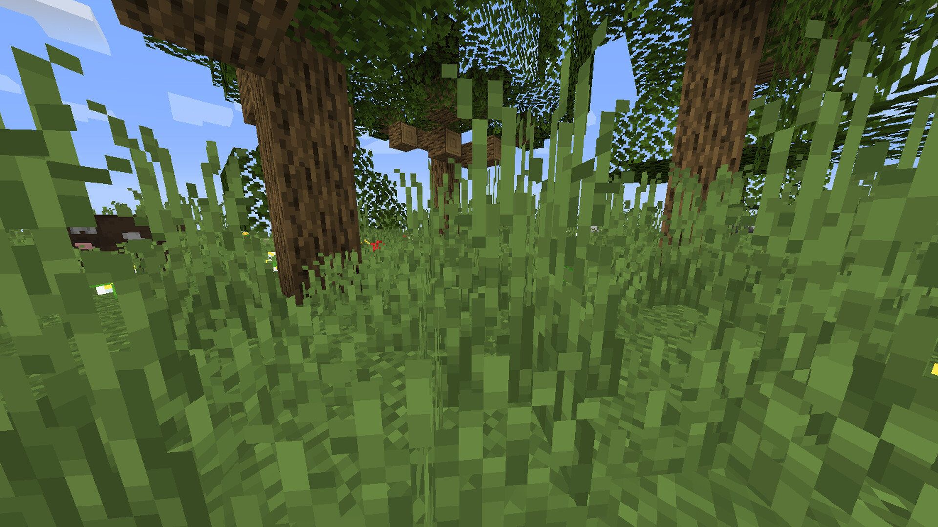 Open Caves Minecraft Map