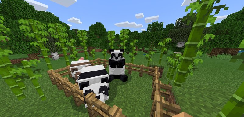 Panda world Minecraft Map
