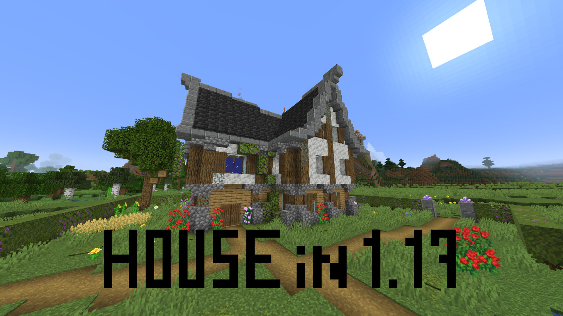 House in 1.17 V1.0 Minecraft Map