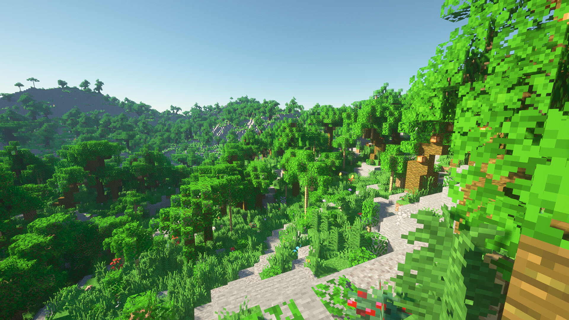 2000 x 2000 Survival Jungle Minecraft Map