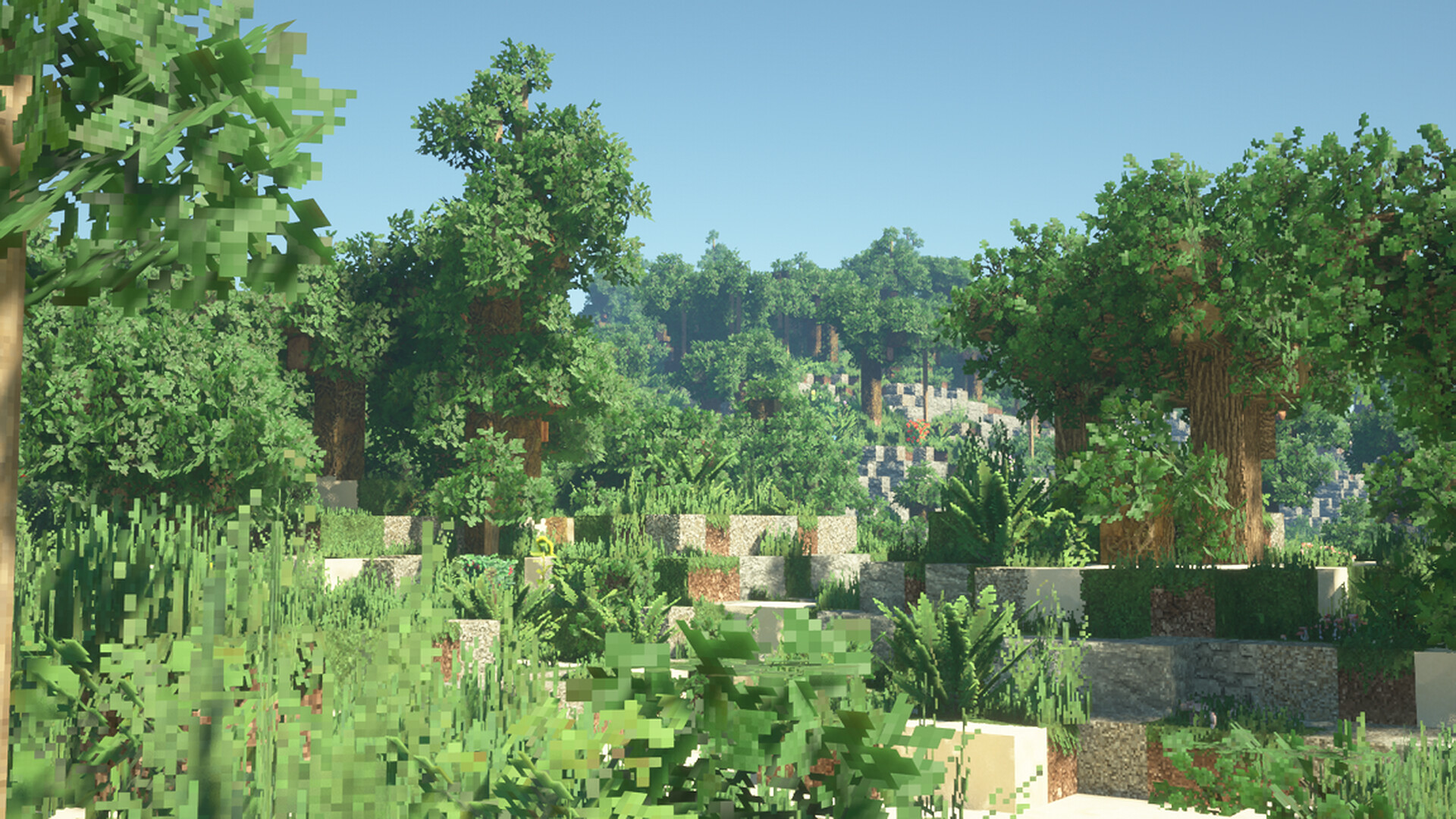 2000 x 2000 Survival Jungle Minecraft Map