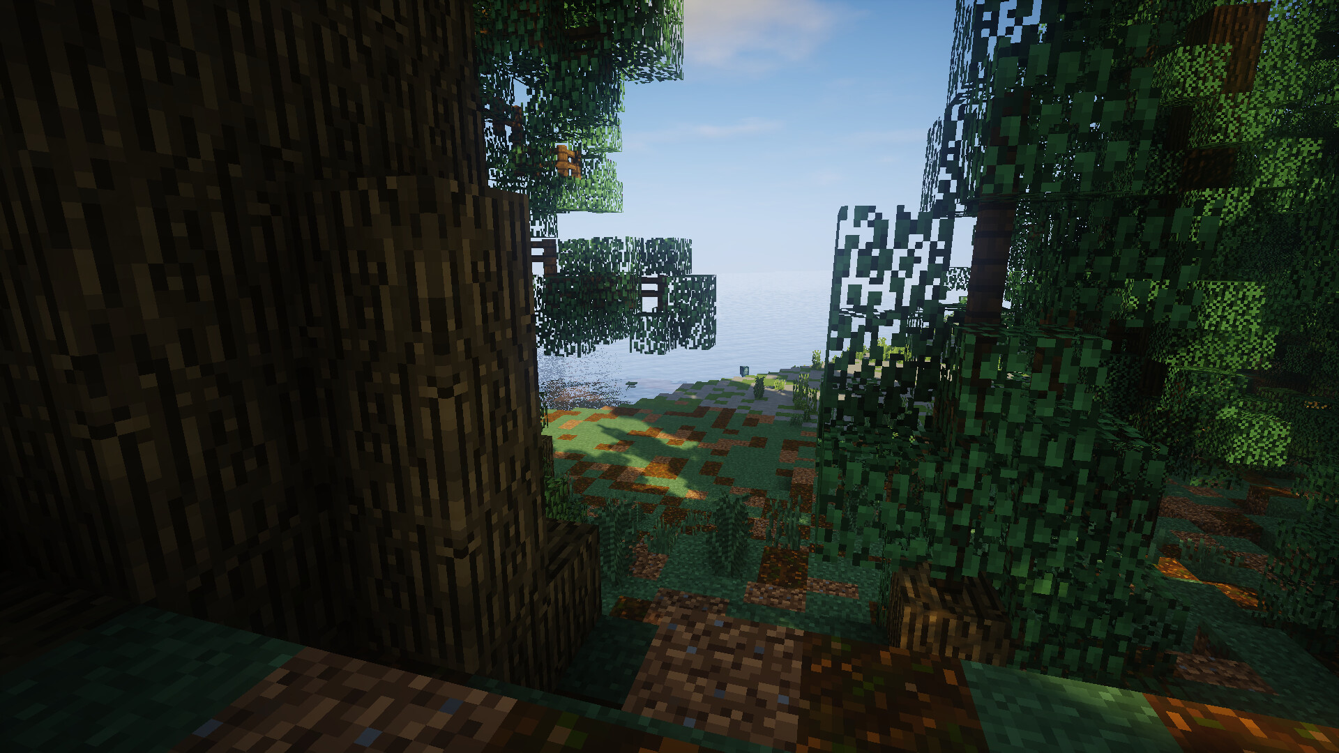 Taïga Island Minecraft Map