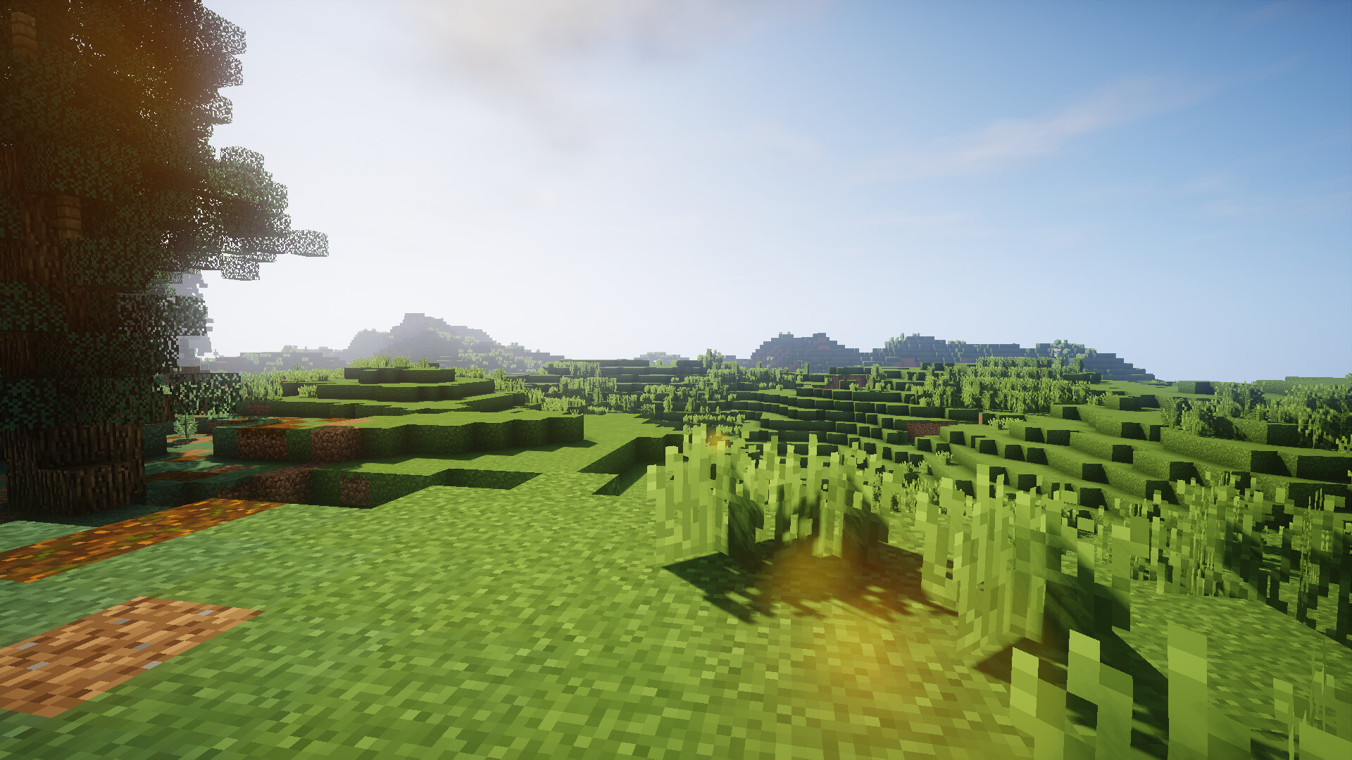 Taïga Island Minecraft Map