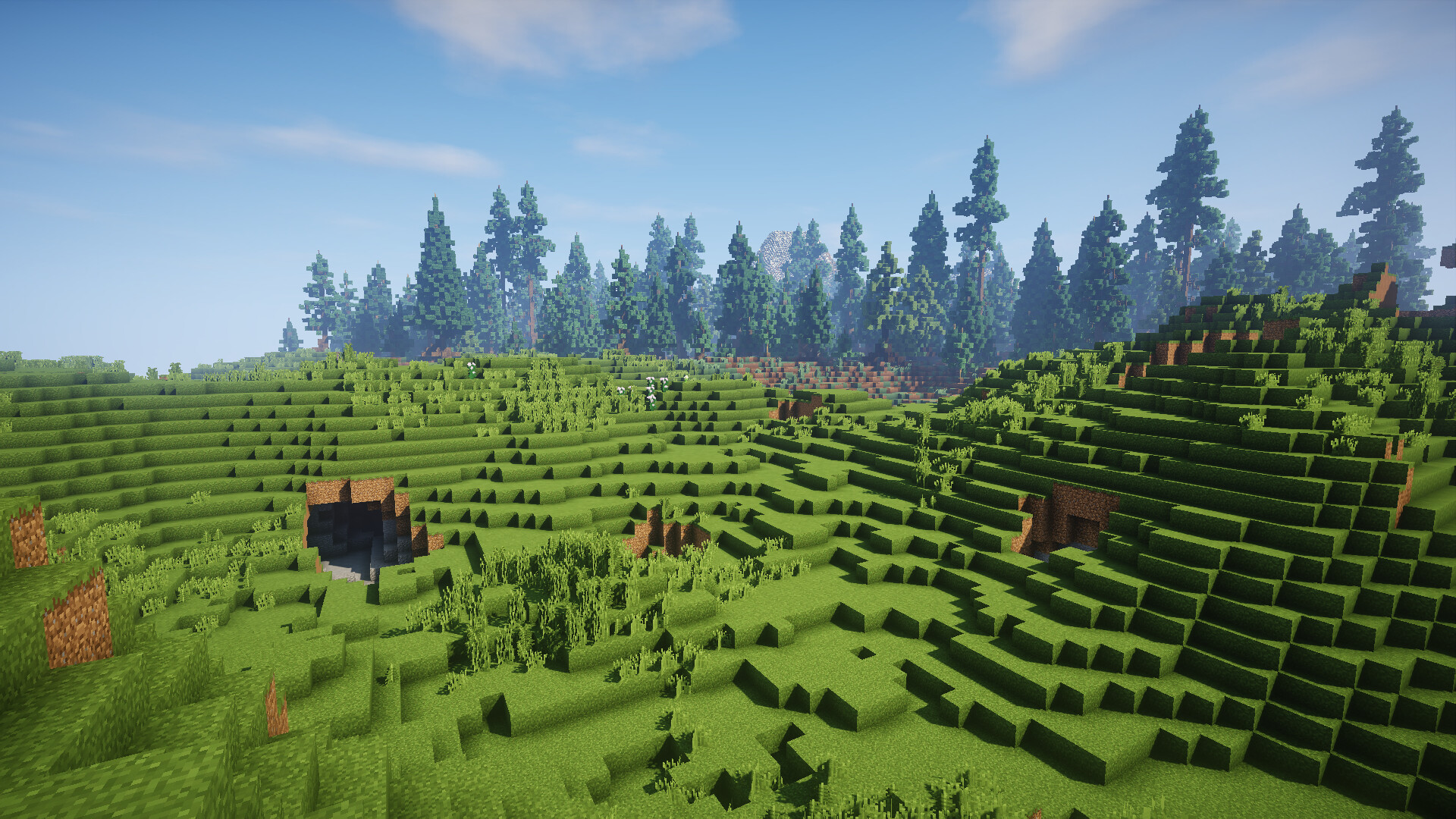 Taïga Island Minecraft Map