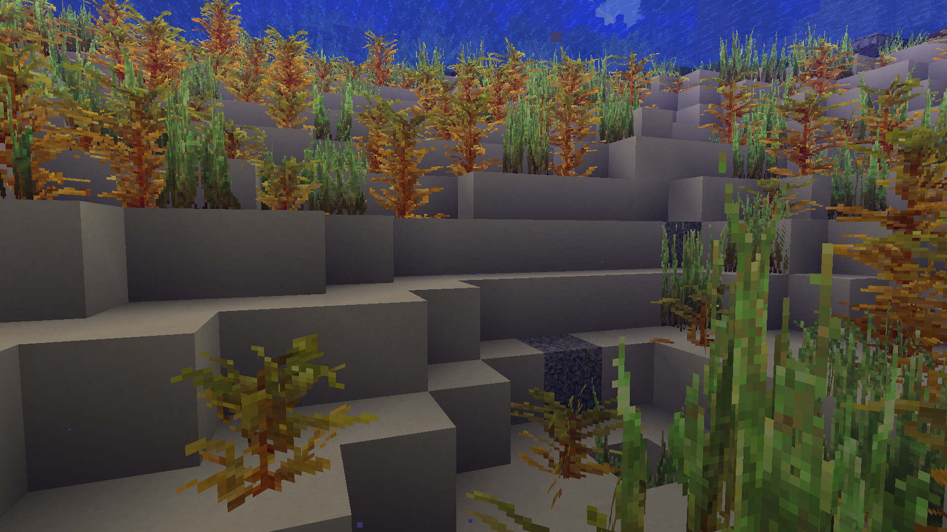 The Spruce Haven - 1536 x 1536 Map Minecraft Map