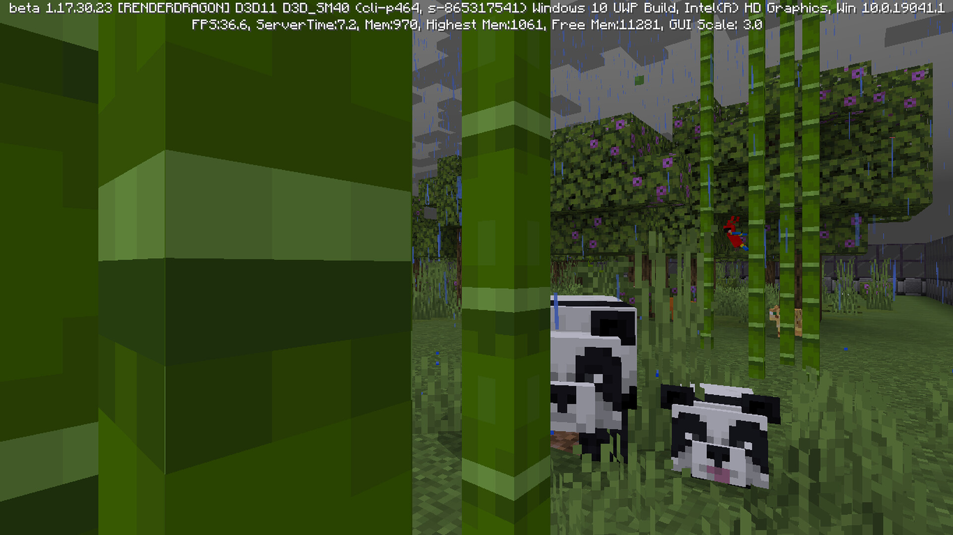 jungle Minecraft Map