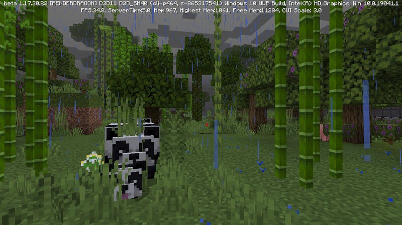 jungle Minecraft Map