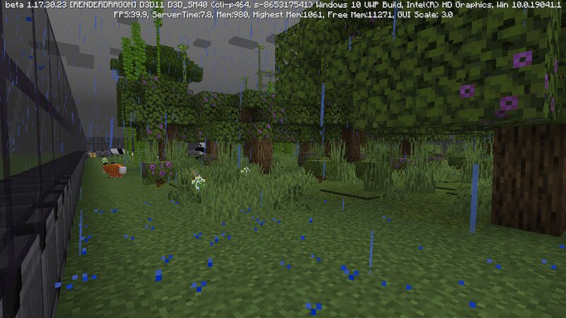 jungle Minecraft Map