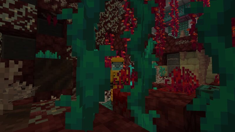 'The Gate' from Stranger Things!! Minecraft Map