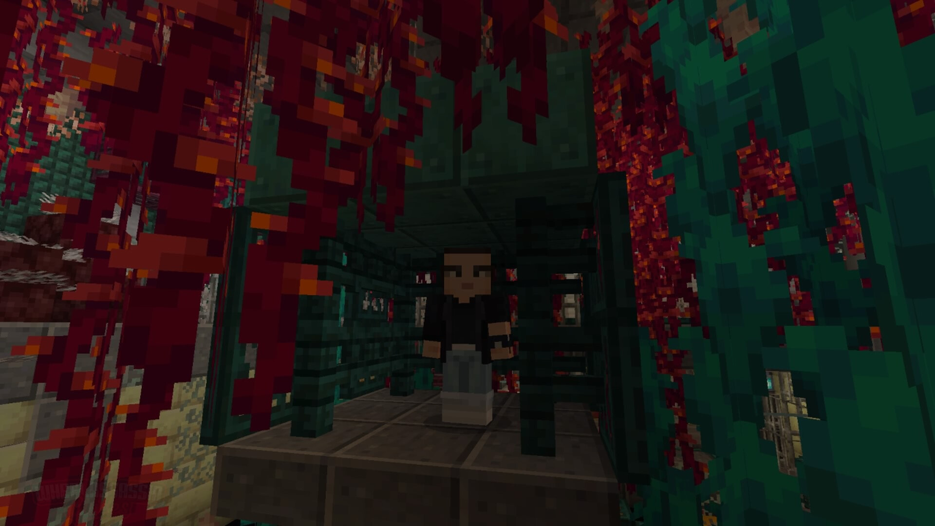 'The Gate' from Stranger Things!! Minecraft Map